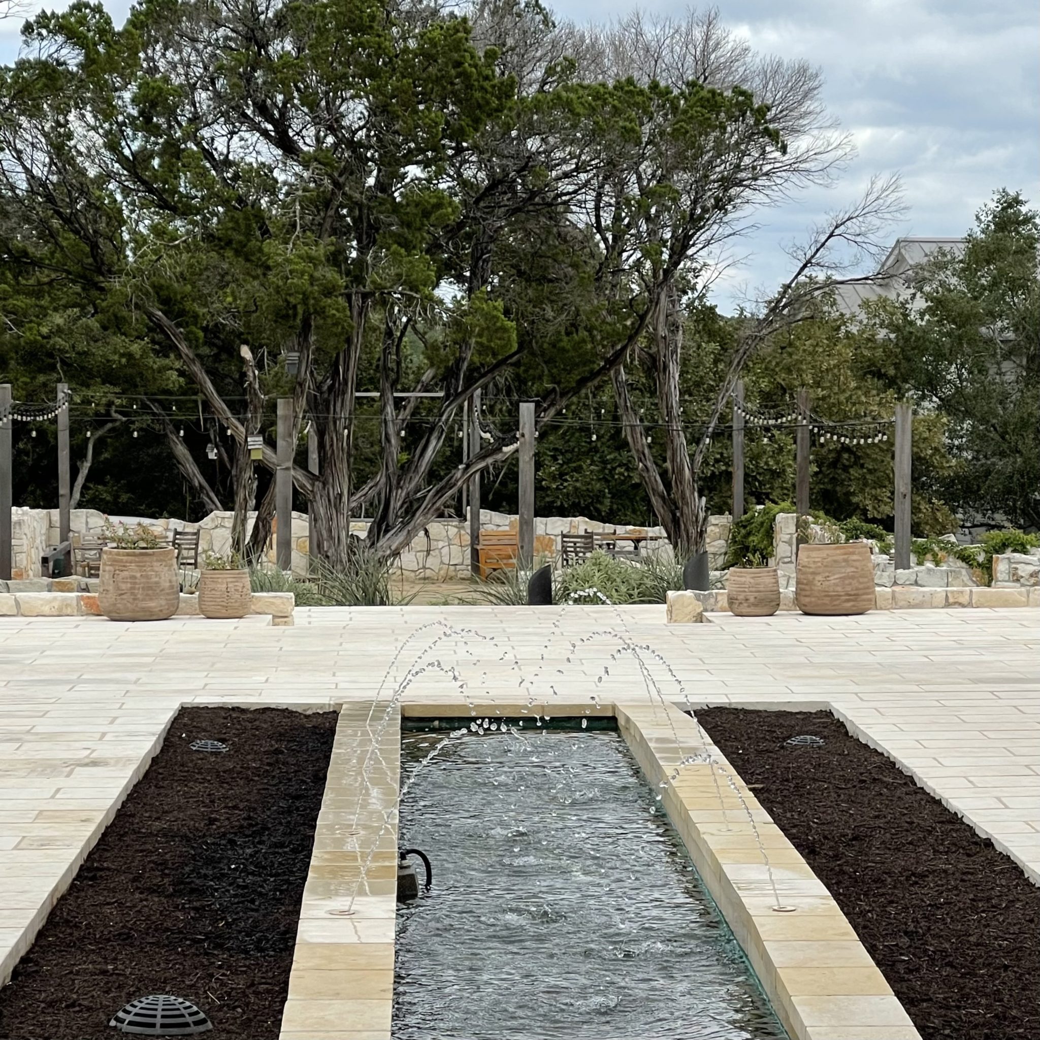 Miraval Austin Review For Grownups • GrownUp Dish